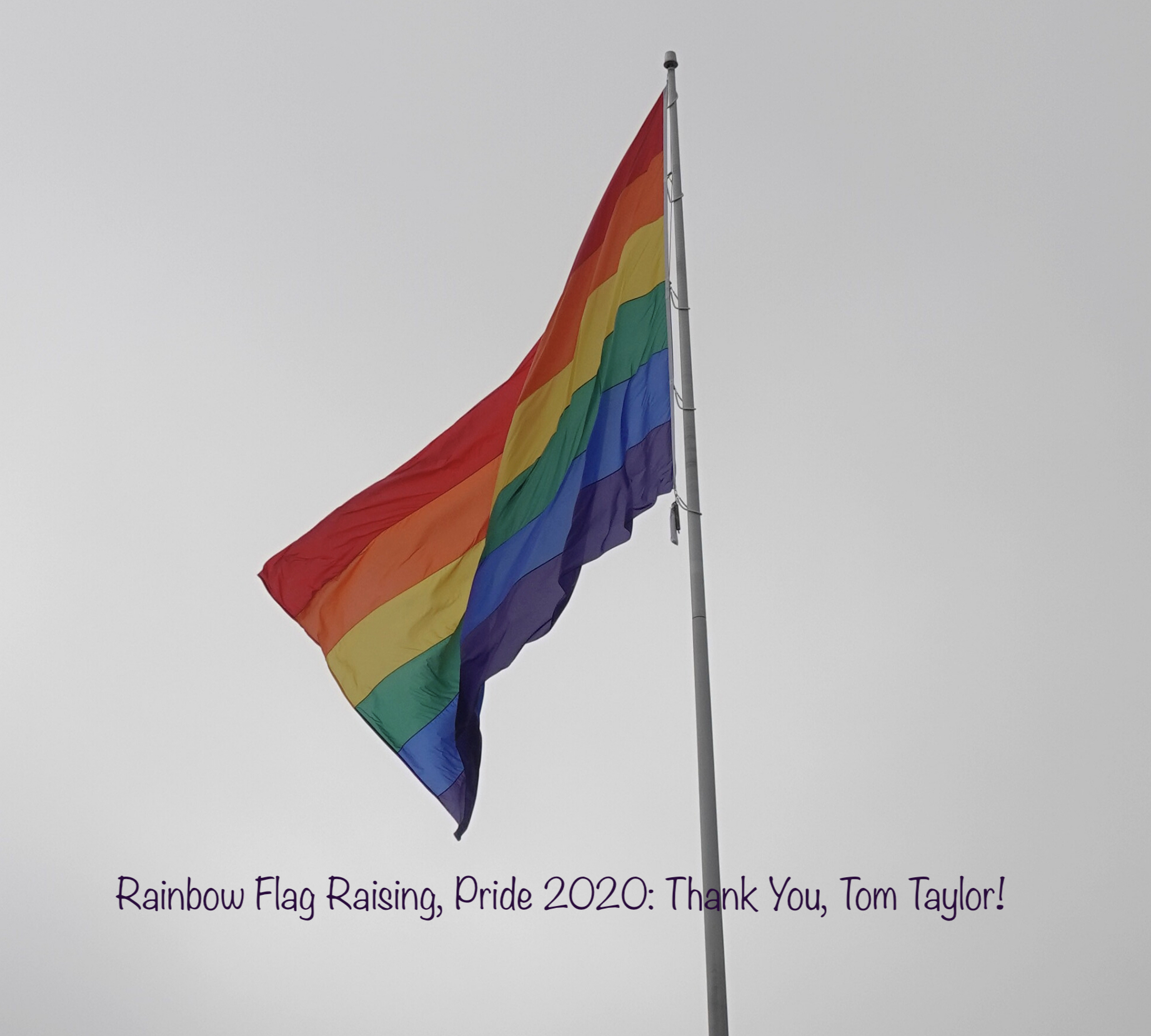 Rainbow Flag Raising Ceremony, Pride 2020 - San Francisco Bay Times ...