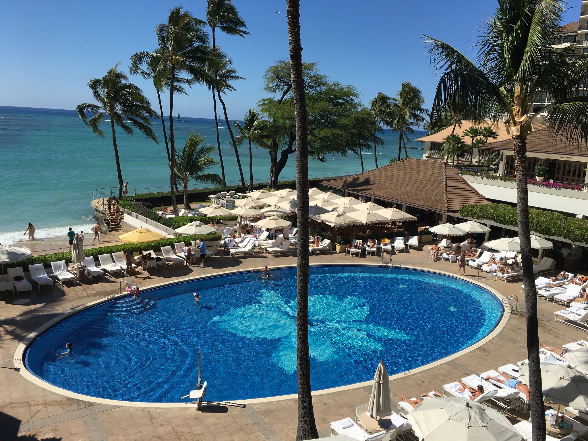 The Gay Gourmet Visits Honolulu's Halekulani Hotel - San Francisco Bay ...