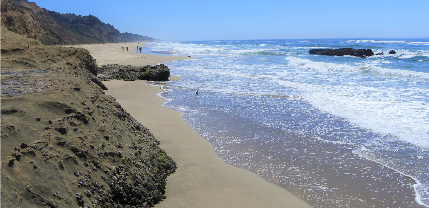 Summer Fun at Clothing Optional Beaches: San Gregorio, Laguna Creek ...