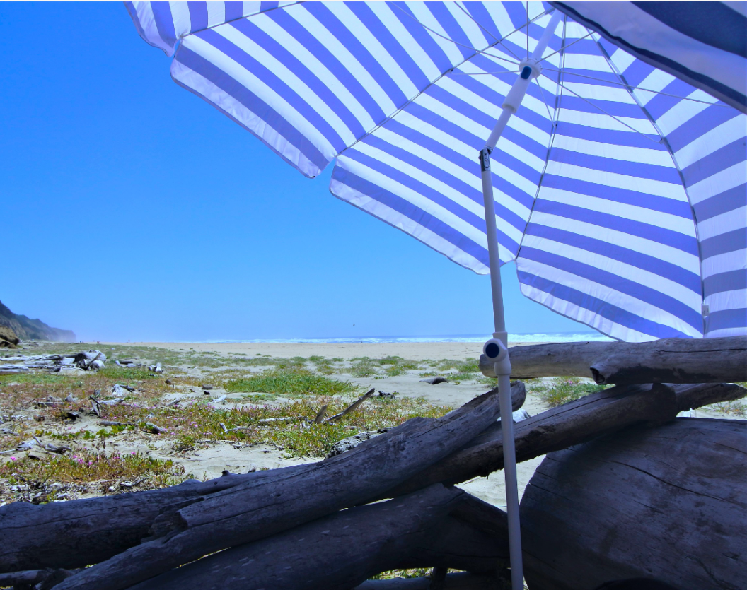 Summer Fun at Clothing Optional Beaches: San Gregorio, Laguna Creek ...