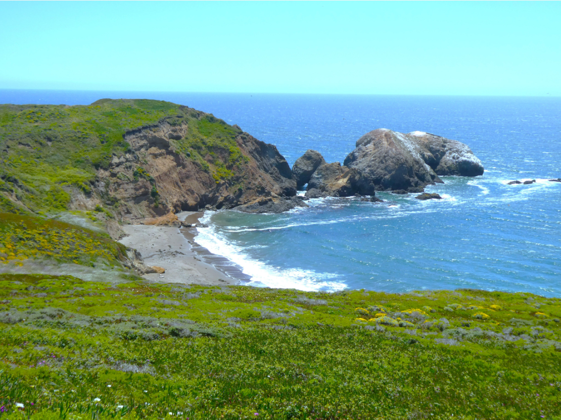 Summer Fun at Clothing Optional Beaches: San Gregorio, Laguna Creek ...