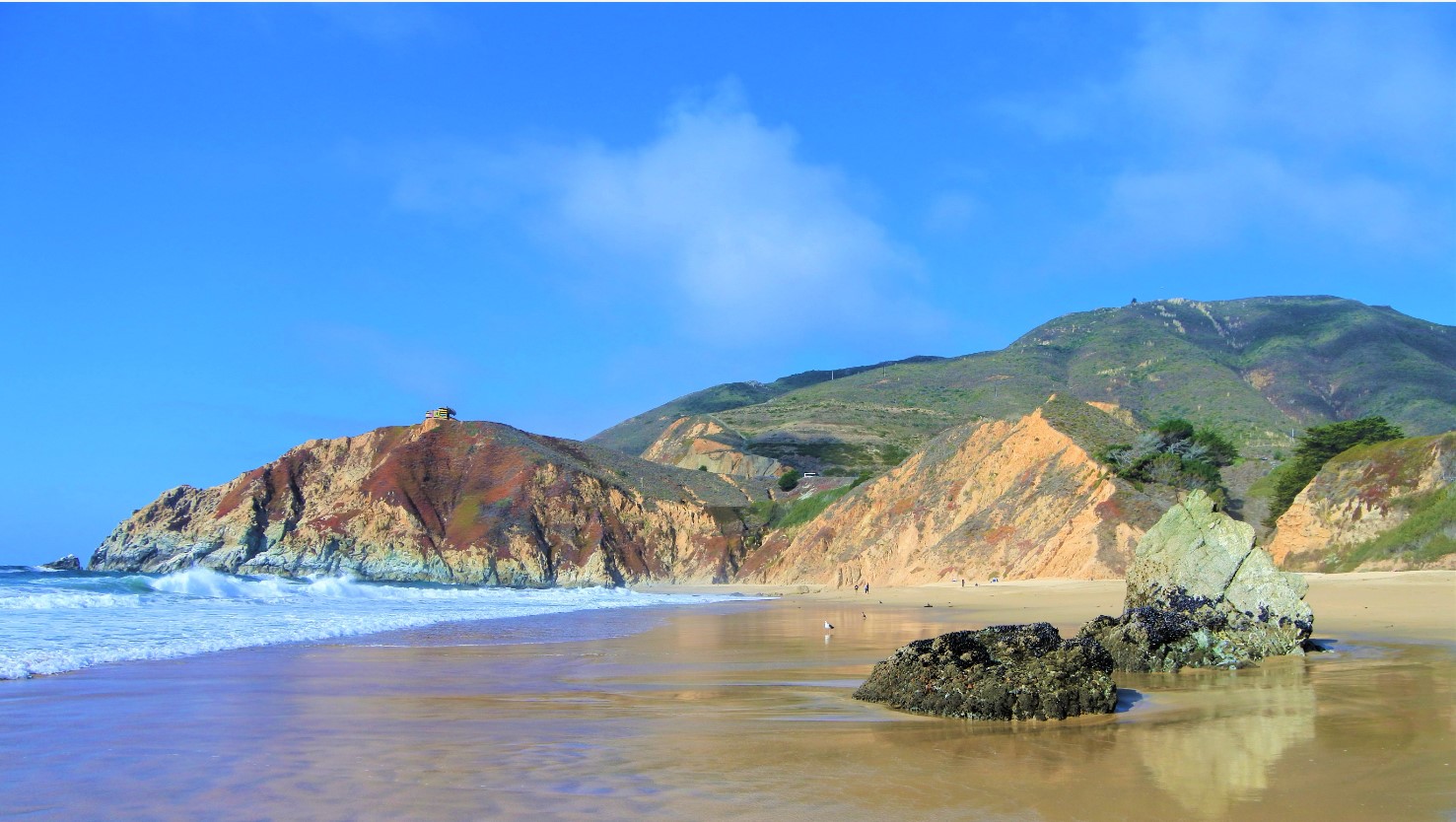 Summer Fun at Clothing Optional Beaches: Marshall, Little Muir, and ...