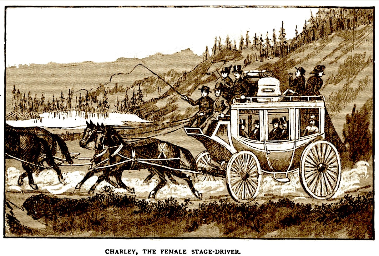 Transgender Pioneers Charley Parkhurst, Theodore Hoffman, and Felicia ...